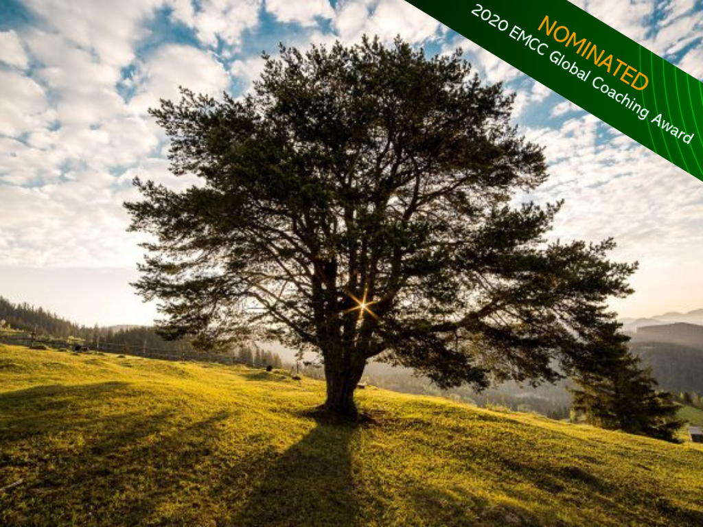 Wellbeing Coaching - 2 day ILM Endorsed programme